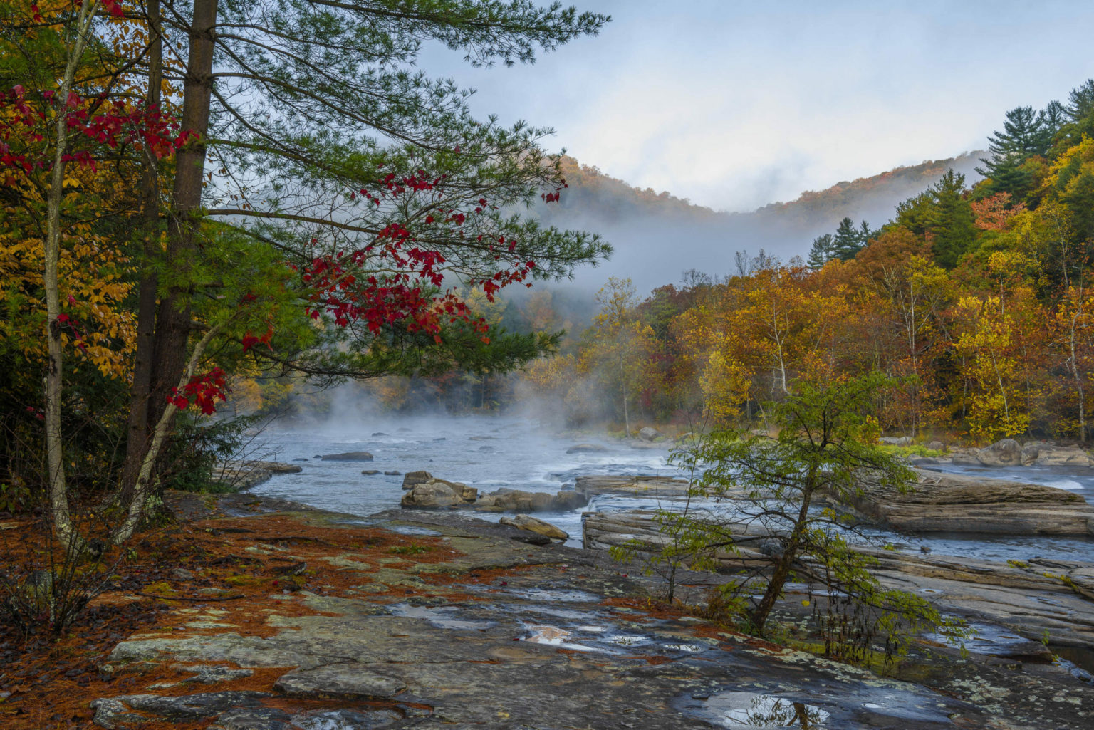 Top Five Western Pennsylvania State Parks to Leaf Peep | Pennsylvania ...