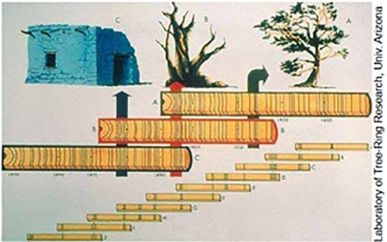 Seeing the Forest AND the Trees: Dendrochronology and Pennsylvania ...
