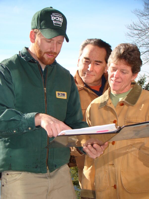 DCNR’s Service Foresters Can Help Guide Your Forest Management ...