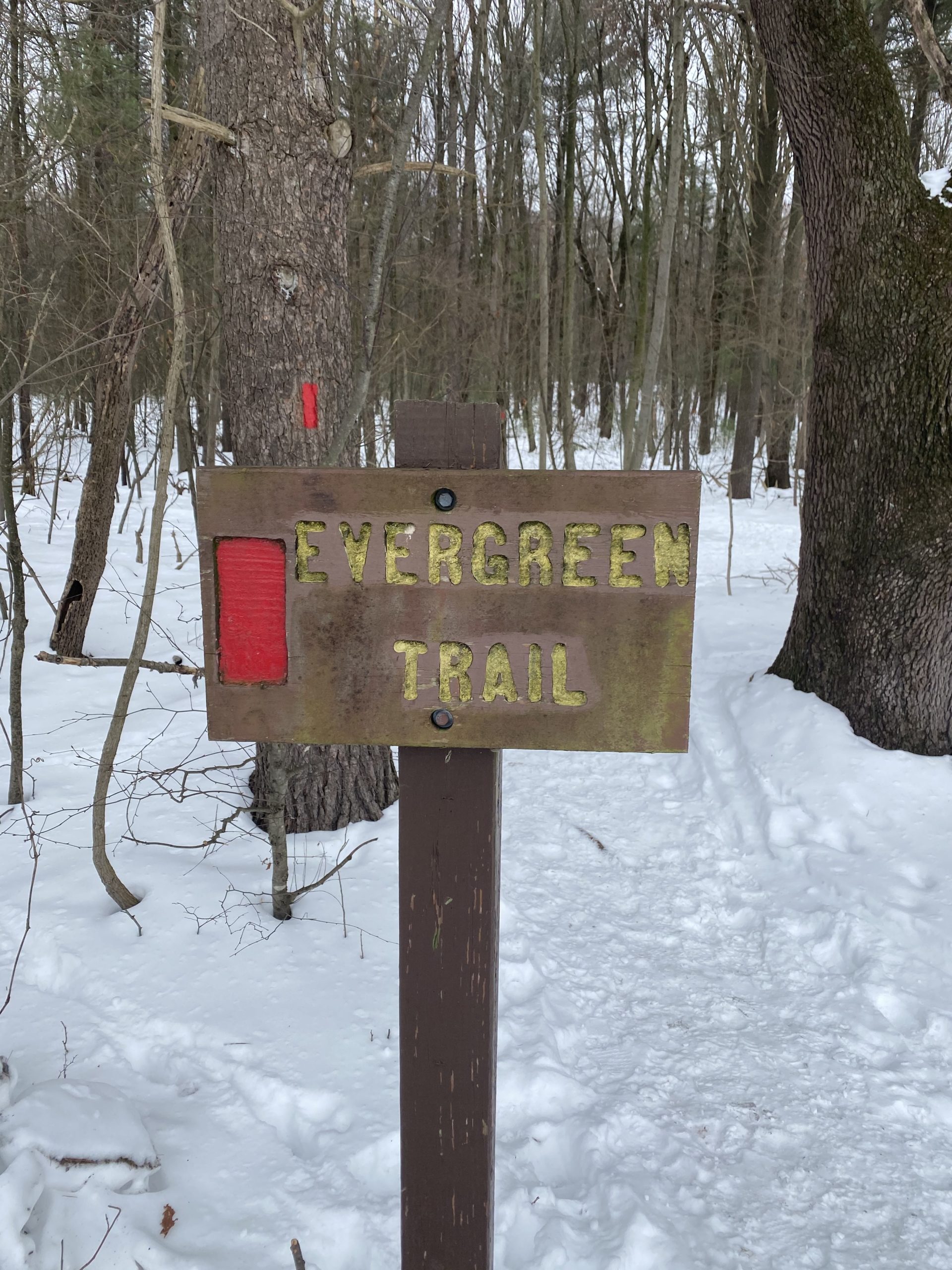 Before Hiking in PA Parks and Forests, Know These Markings ...