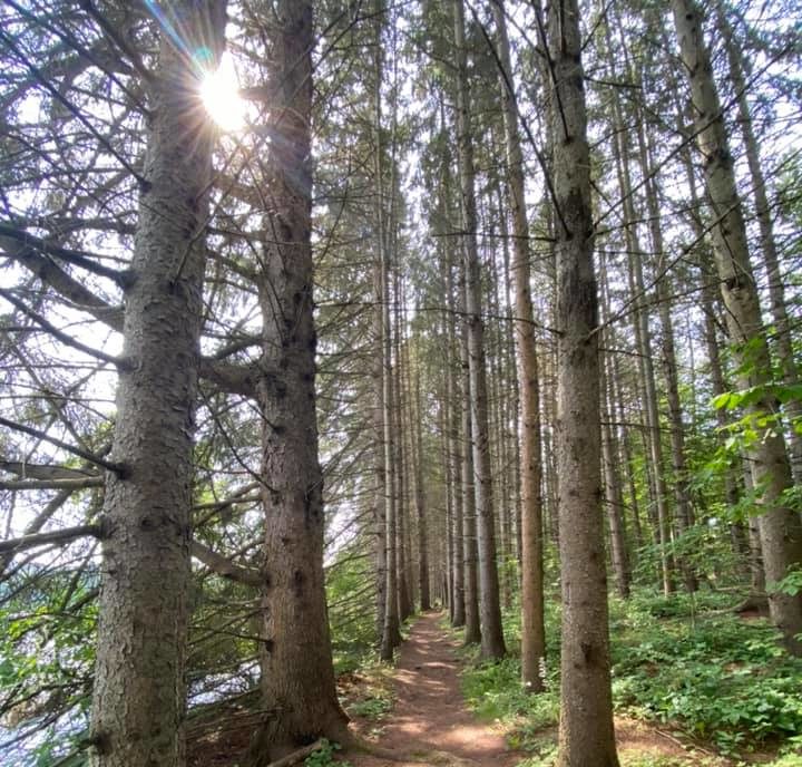 Why I Love Pennsylvania’s State Parks | Pennsylvania Parks and Forests ...