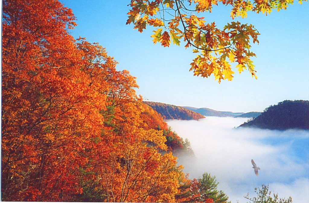 Discover These Northern State Parks for Beautiful Fall Colors