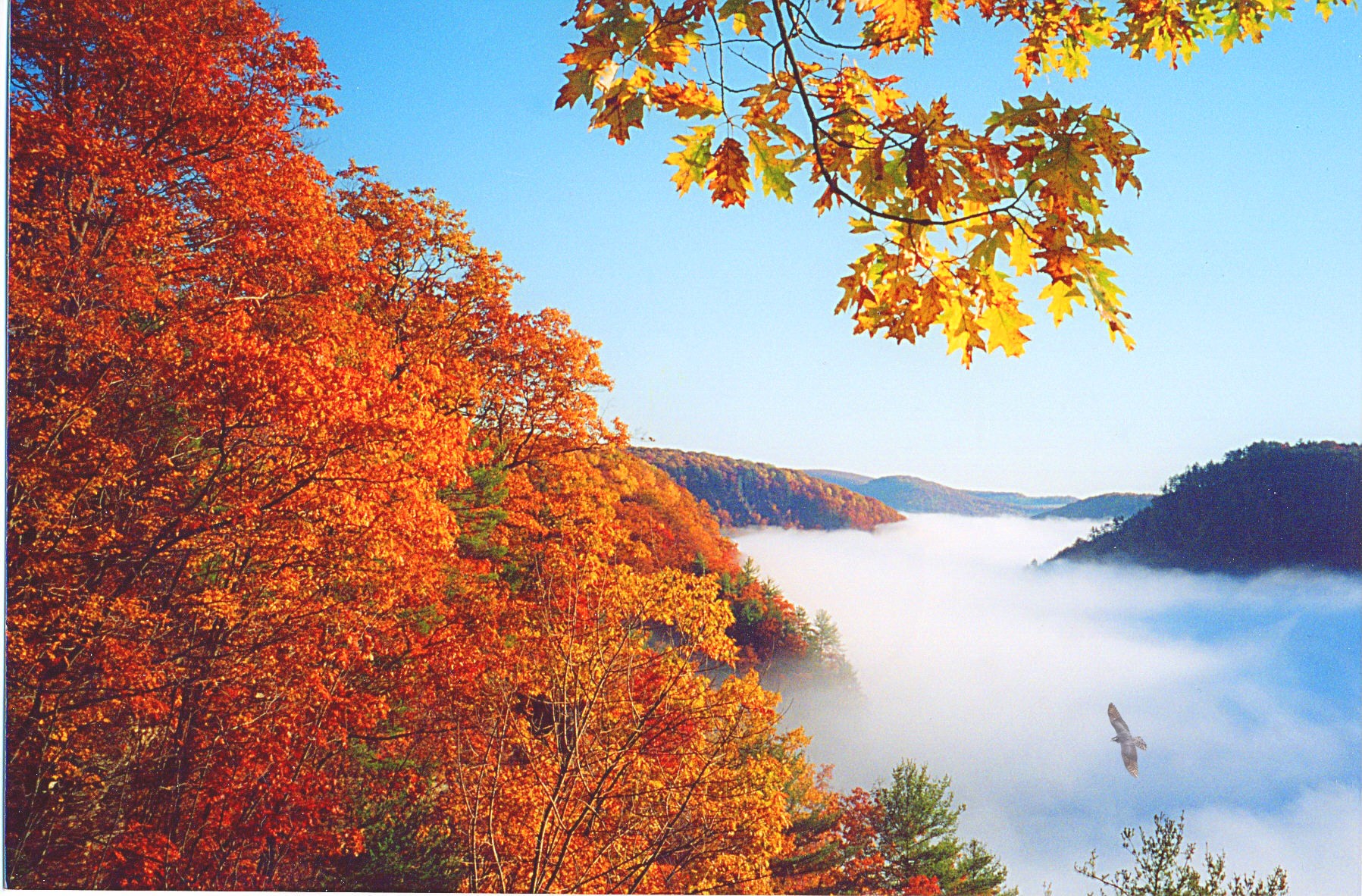 Three Pre-planned Park Trips for Your Fall Weekends