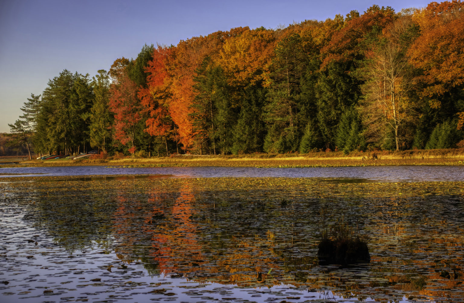 Four Favorite Activities to Experience This Fall in PA State Parks