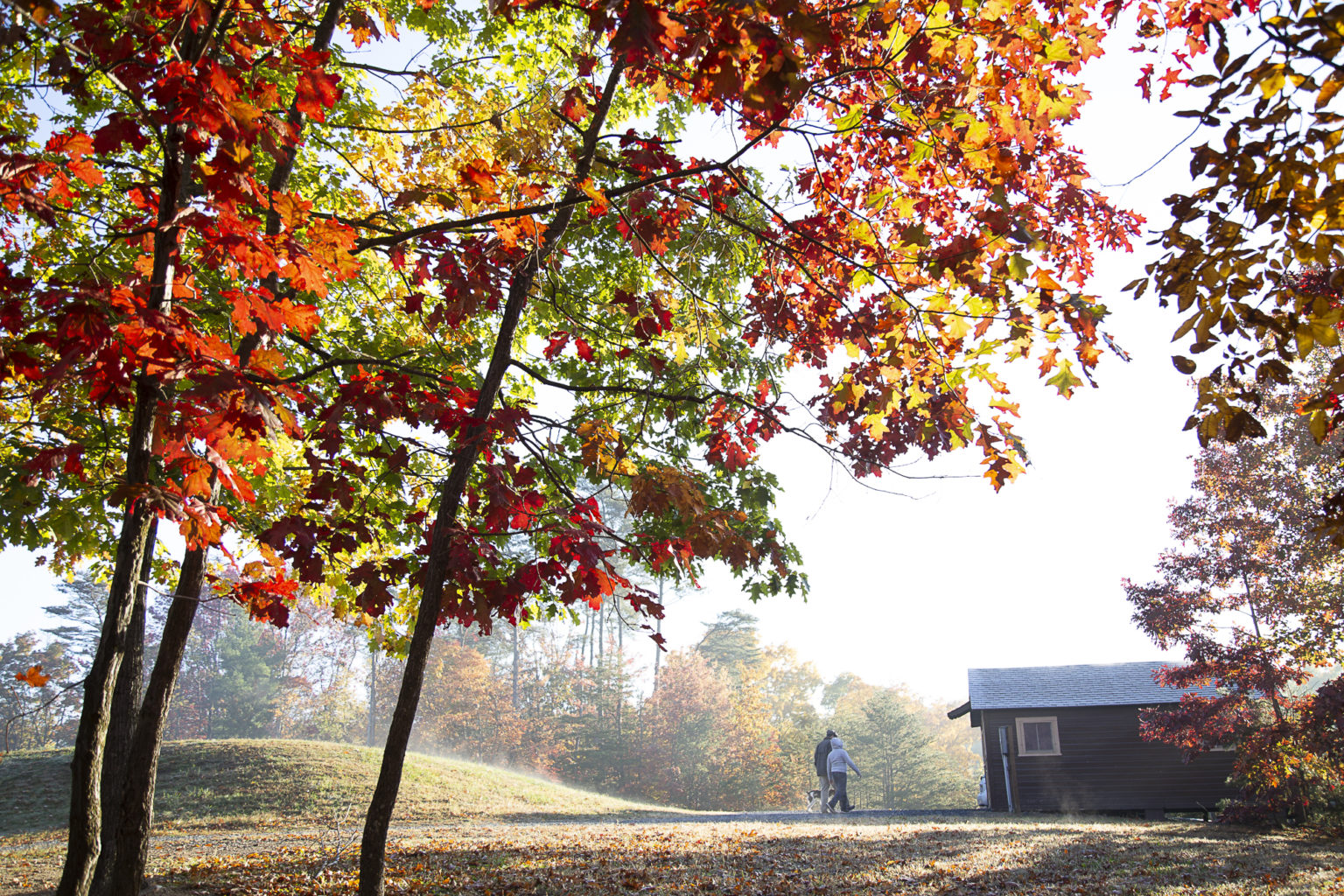 Top Leaf Peeping State Parks in Southern Pennsylvania
