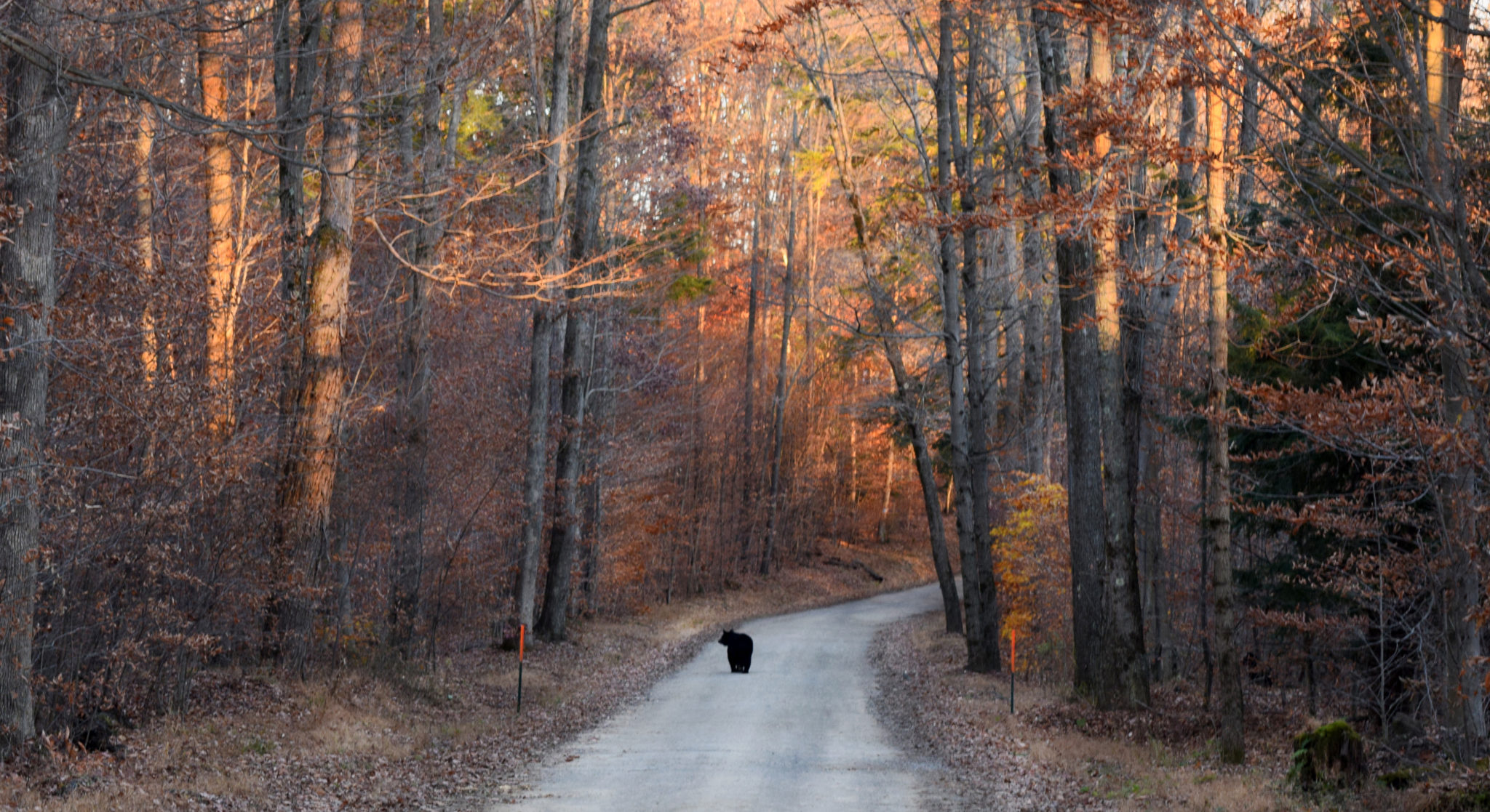 Top Five Western Pennsylvania State Parks to Leaf Peep | Pennsylvania ...