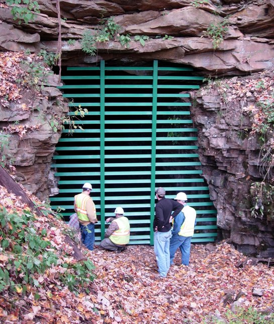 Bat Conservation in Pennsylvania