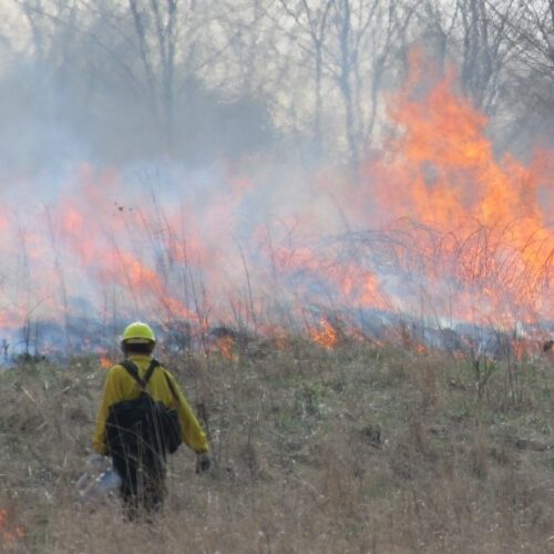National Wildland Firefighter Day | Pennsylvania Parks and Forests ...