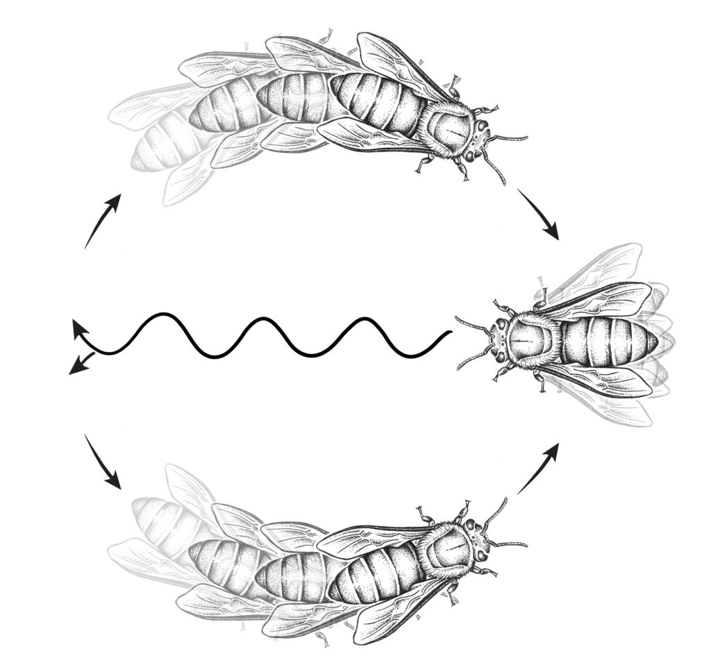 National Honey Bee Day | Pennsylvania Parks and Forests Foundation