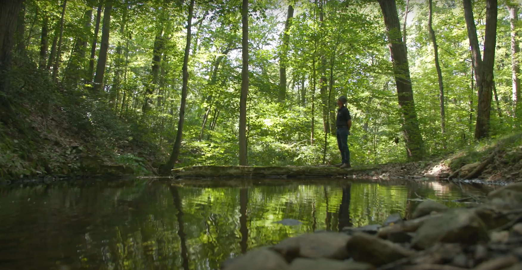 “The Role of Quiet” Video Explores the Benefits of Nature and Silence ...