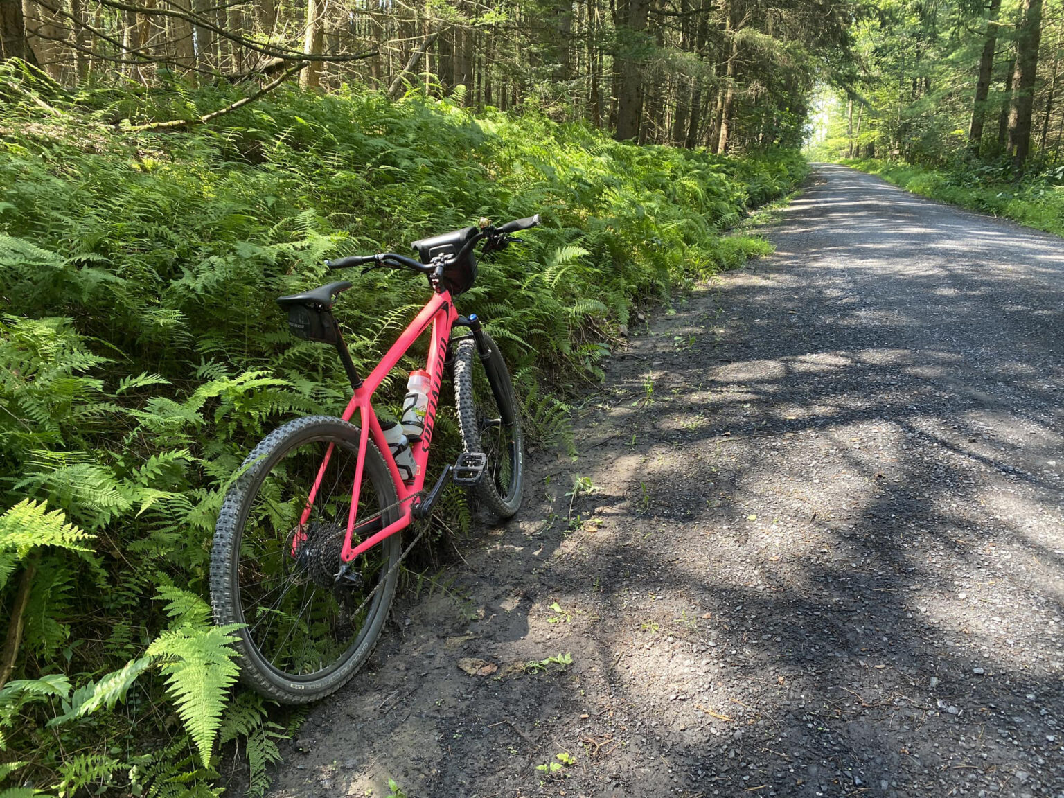 Pennsylvania Mountain Biking with Michael Hermann and Purple Lizard ...