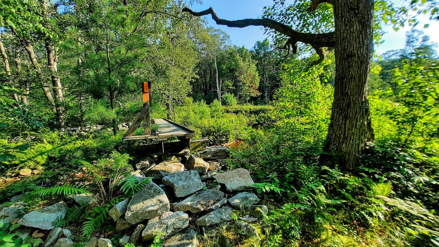 Quehanna Trail History | Pennsylvania Parks and Forests Foundation