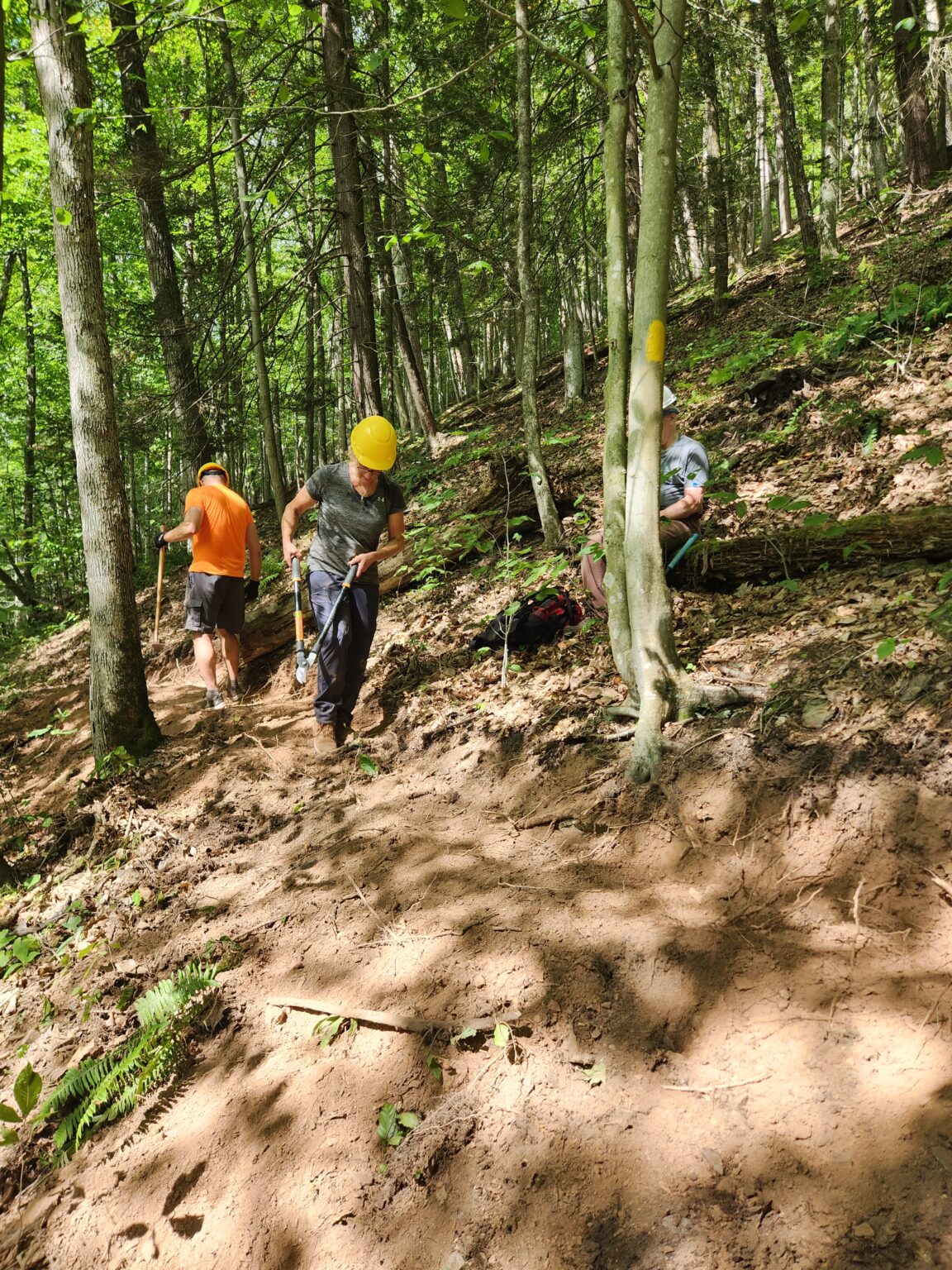 Quehanna Trail History | Pennsylvania Parks and Forests Foundation
