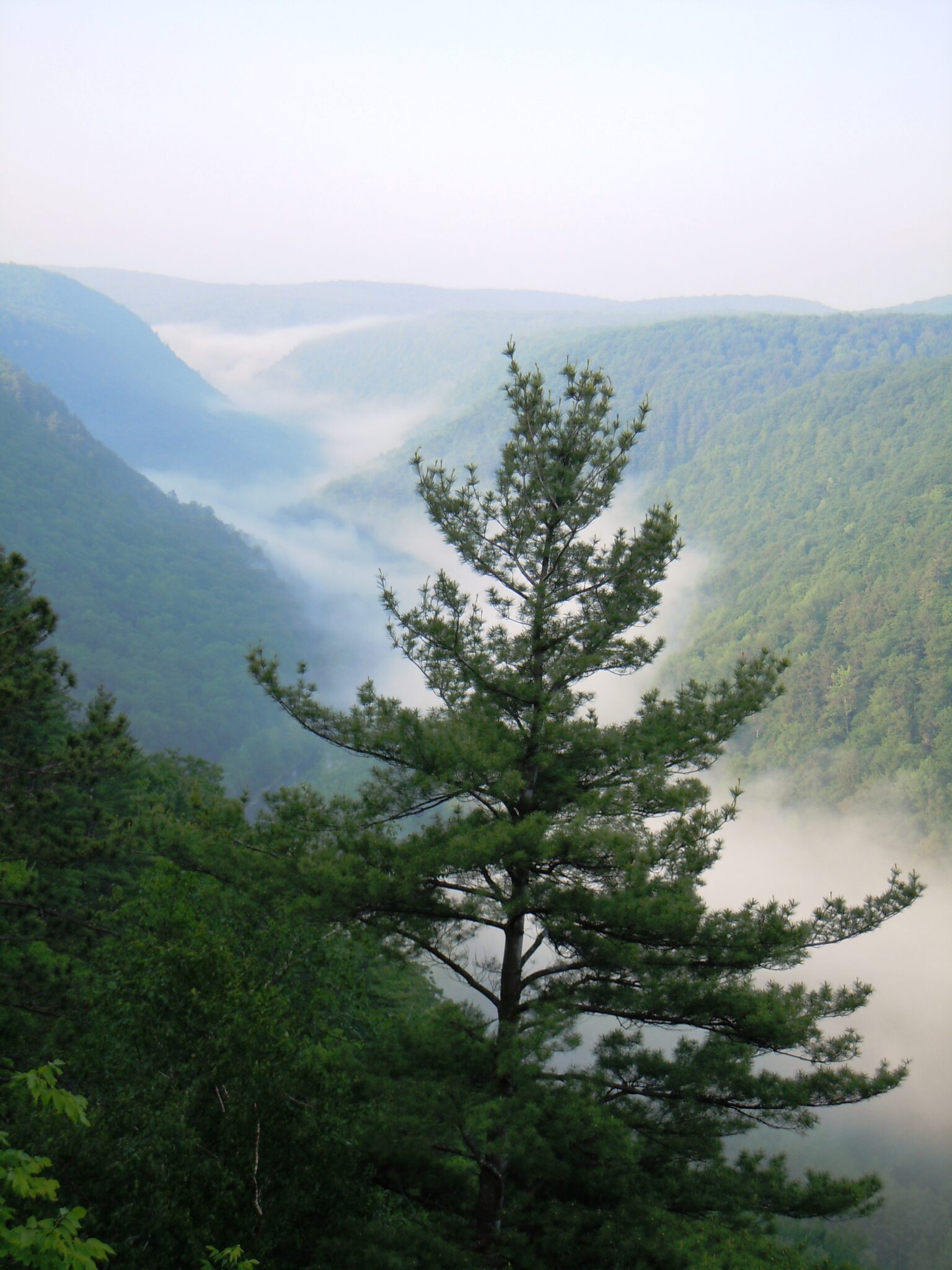 Miles of Beauty: State Forest Hiking Trails | Pennsylvania Parks and ...