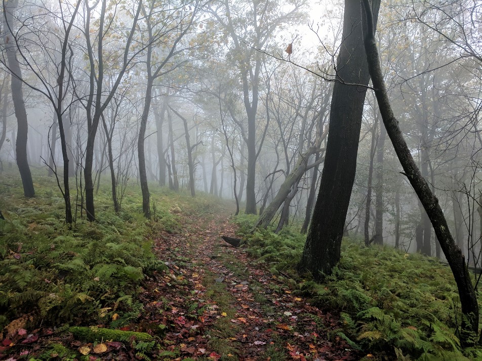 The Laurel Highlands Hiking Trail | Pennsylvania Parks and Forests ...